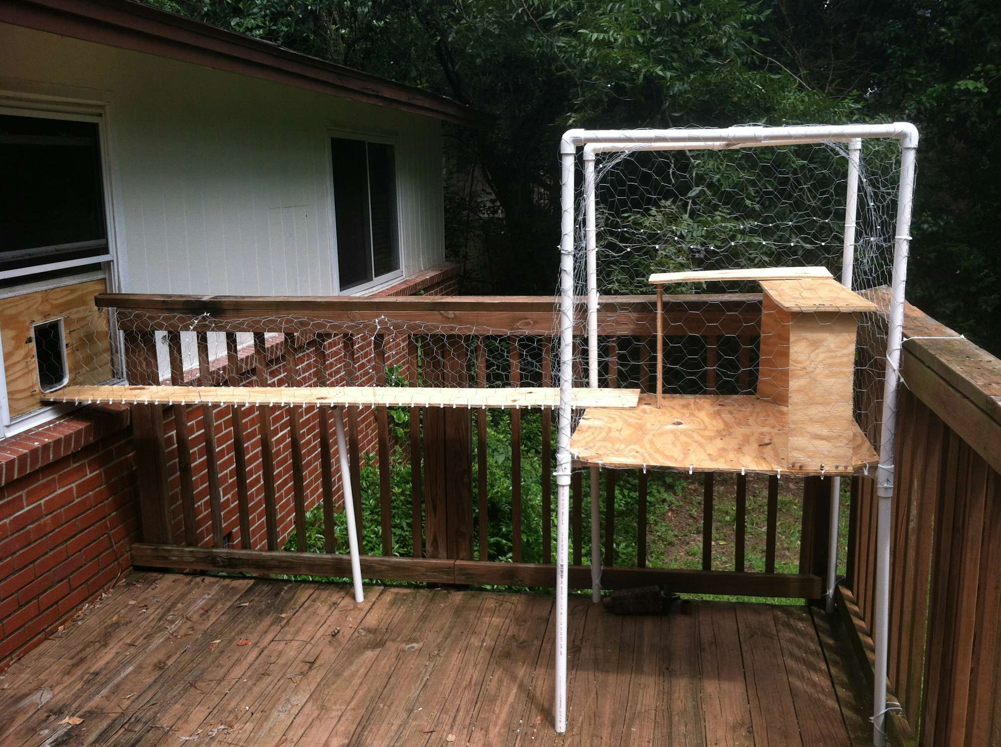 Outside Cat Enclosure - Xodus Tech